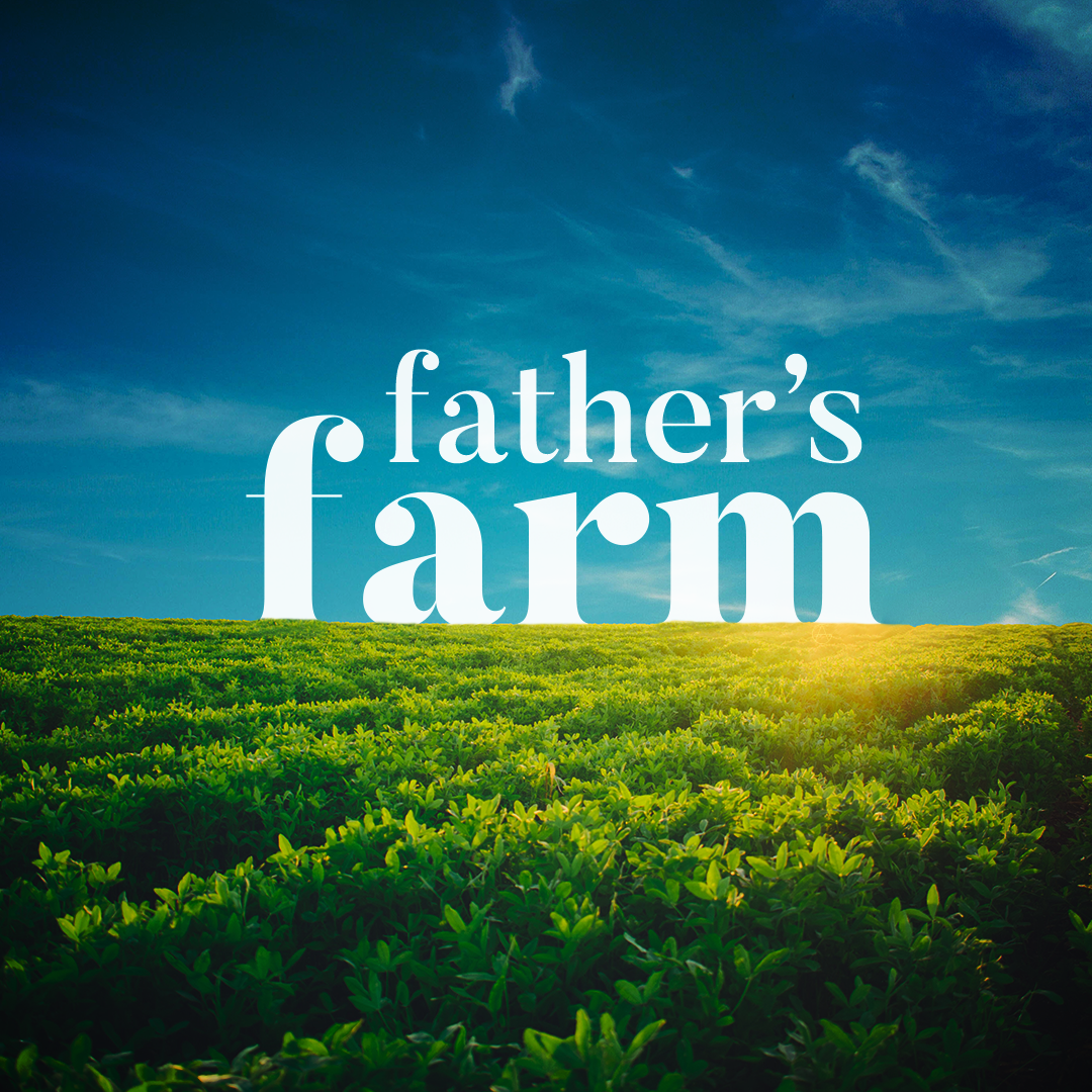father’s farm – Dedicated Dreamer