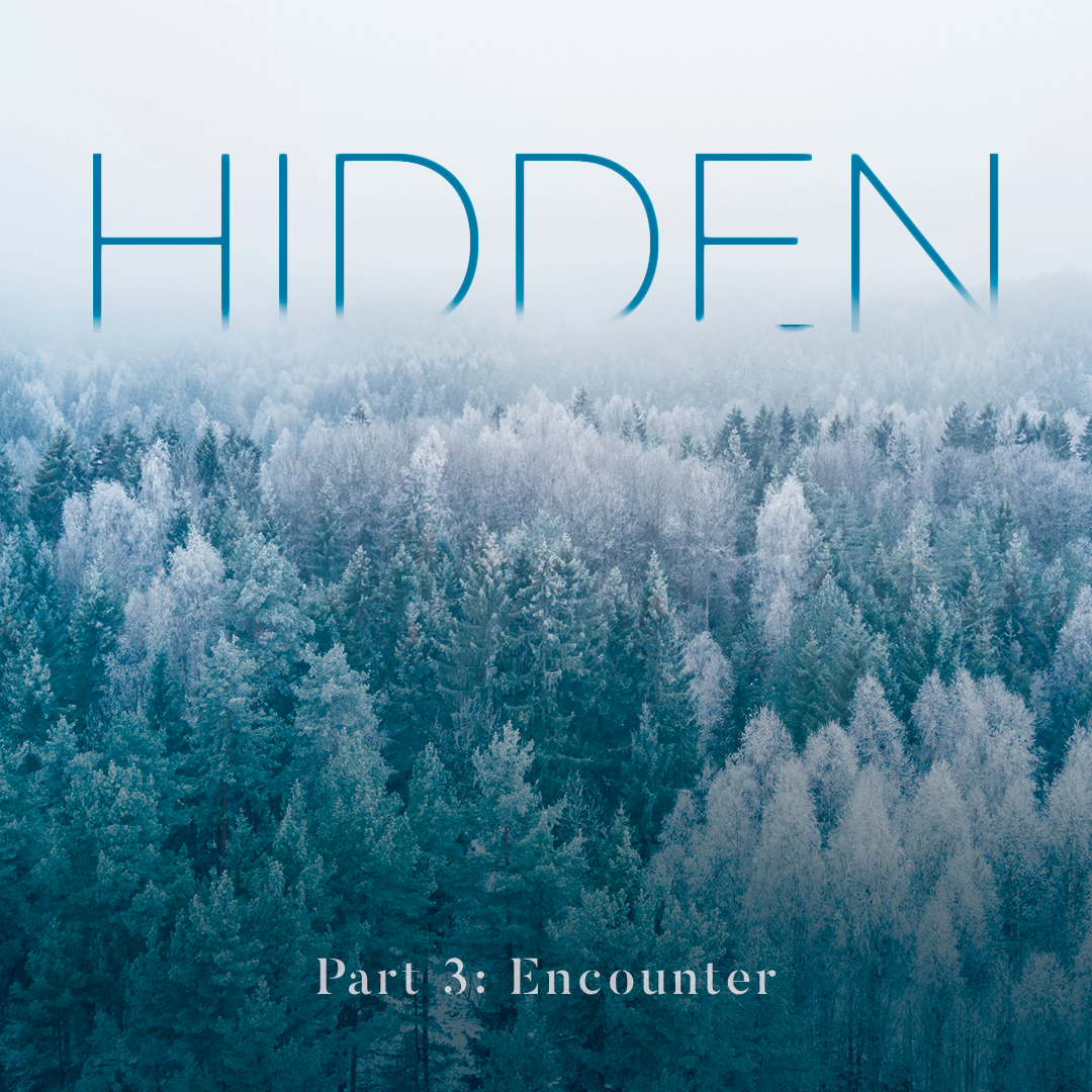 Hidden Part 3: Encounter – Dedicated Dreamer